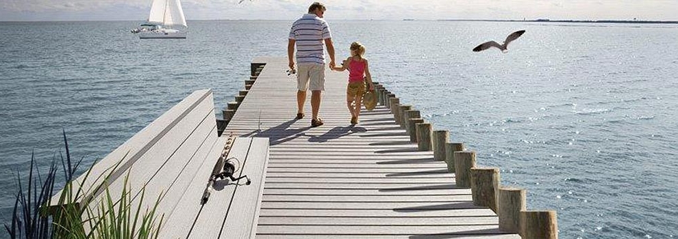 Southern Pine Lumber Company | Lumber – Timber – Piling